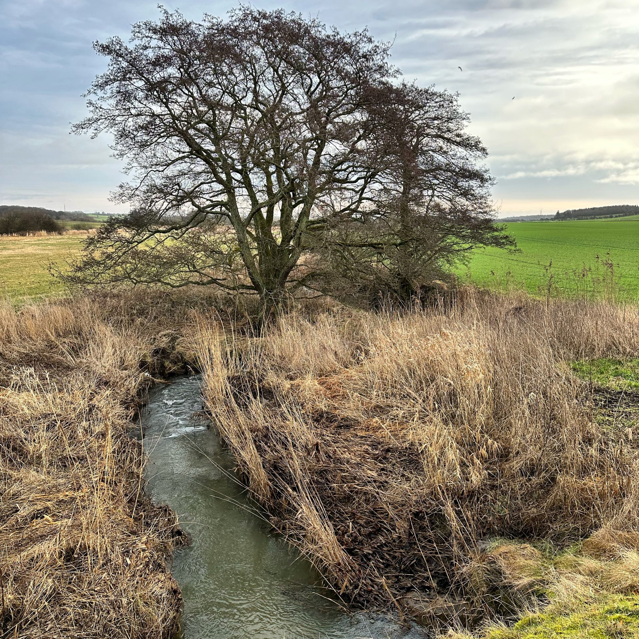 Alling Å - Videncenter for Sportsfiskeri
