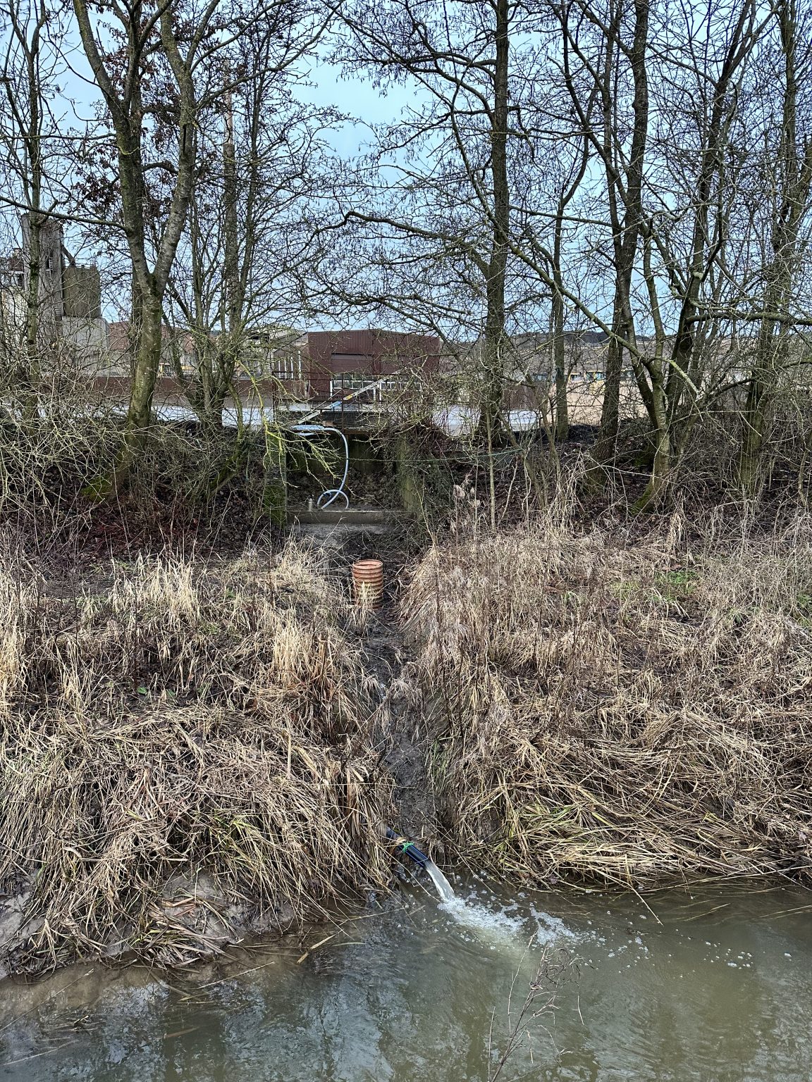 Alling Å - Videncenter for Sportsfiskeri