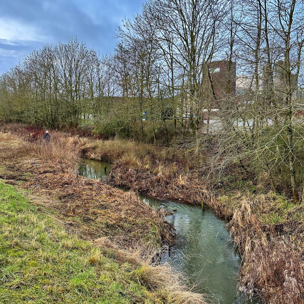 Alling Å faunaundersøgelser - Videncenter for Sportsfiskeri