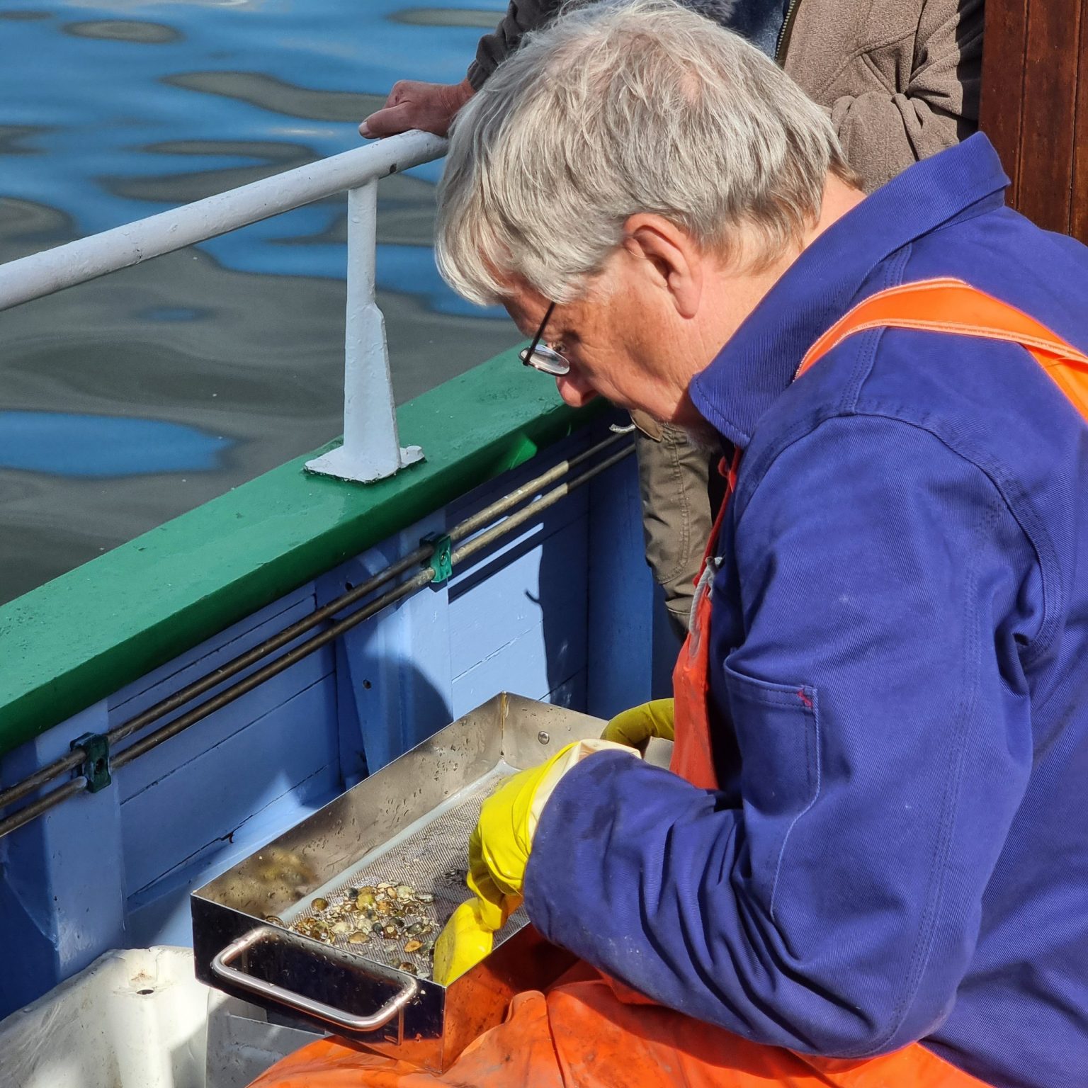 Cheminova - timeline to 2025 - Ulnits.dk